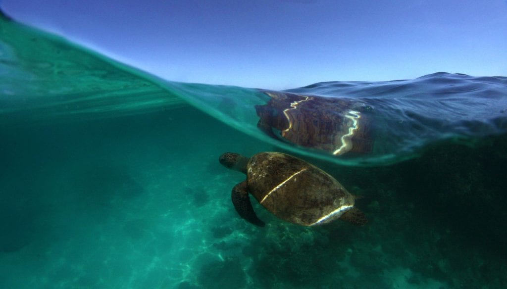 Attractions in Coral Bay | Country Airstrips Australia